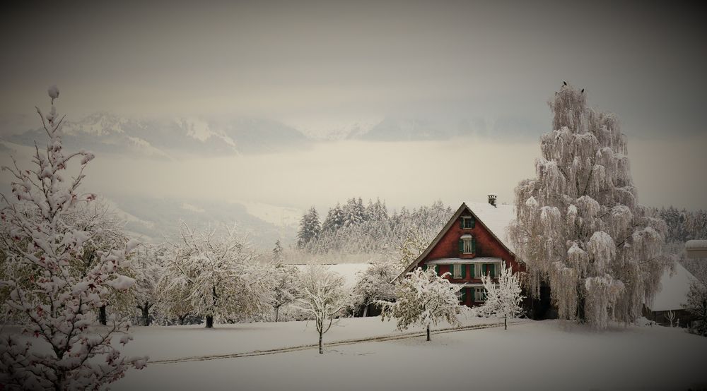 traumhafte Winterlandschaft Foto & Bild | jahreszeiten, winter, natur Bilder auf fotocommunity