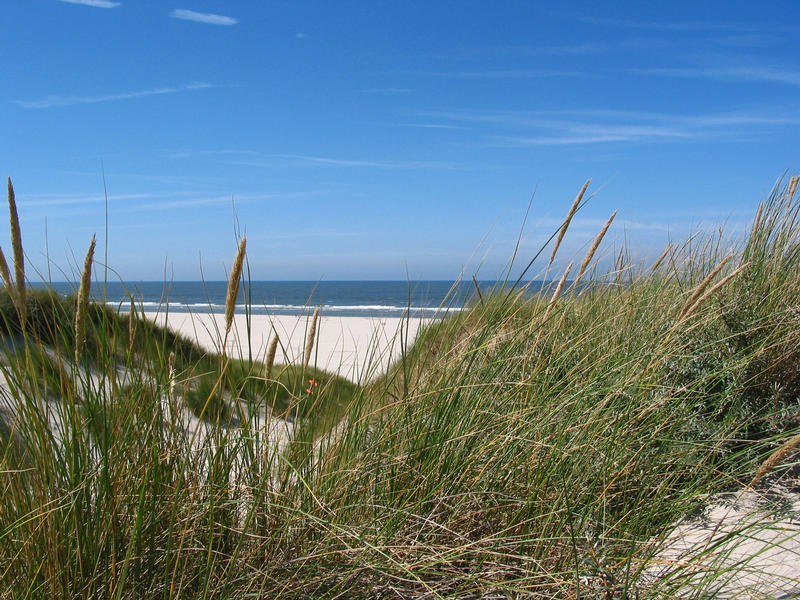 Trauminsel Juist Foto & Bild | landschaft, meer & strand, natur Bilder ...