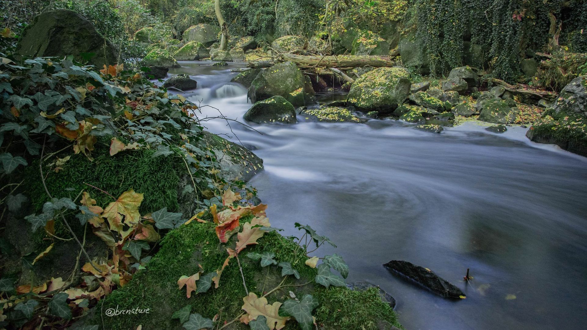 Traumort Foto & Bild | natur, herbst, langzeitbelichtung Bilder auf ...