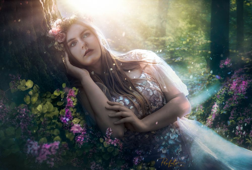 Traumwald Foto & Bild | fotomontage, fantasy mystery, art Bilder auf fotocommunity