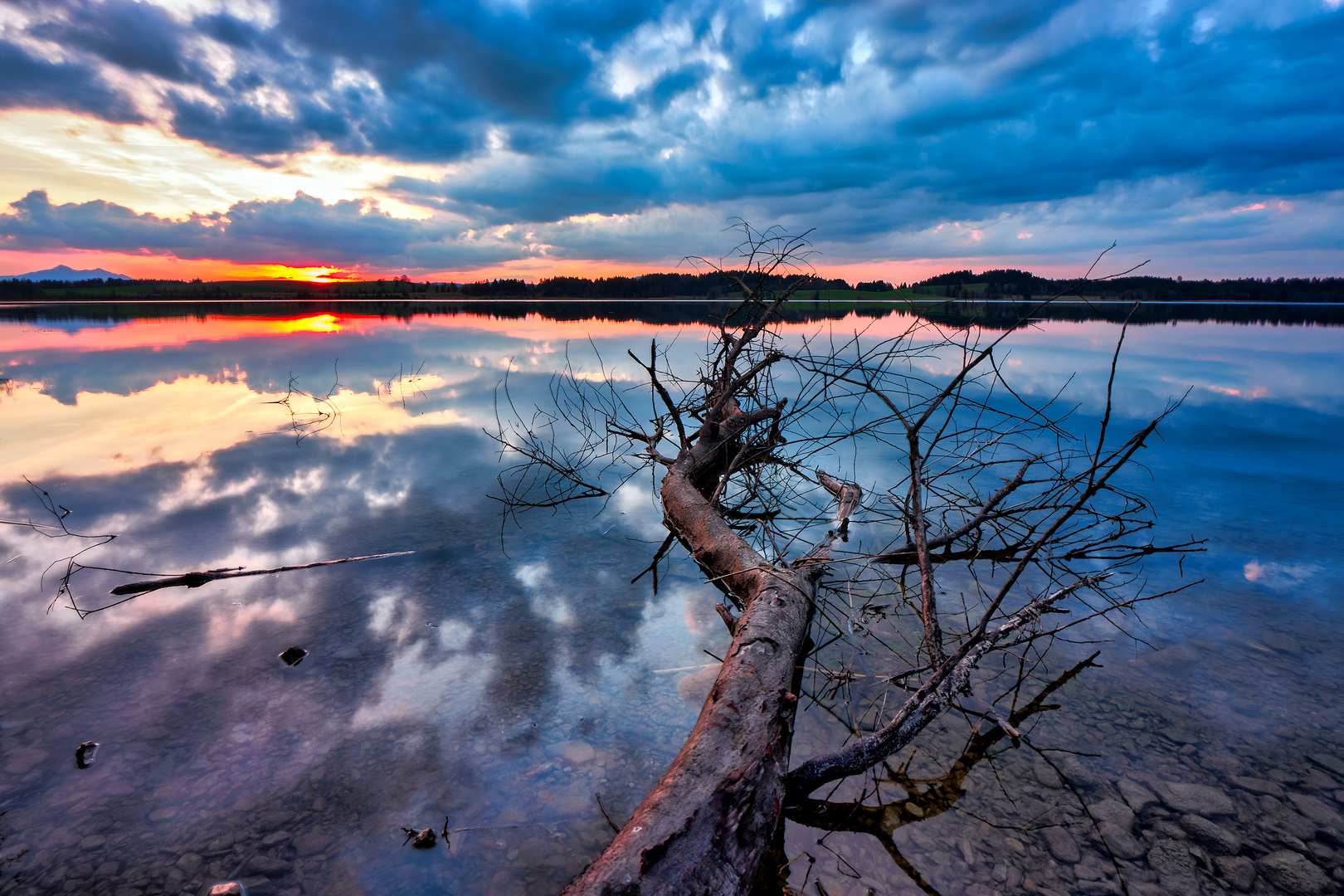 ~ Tree ~ Foto & Bild | deutschland, europe, bayern Bilder auf fotocommunity