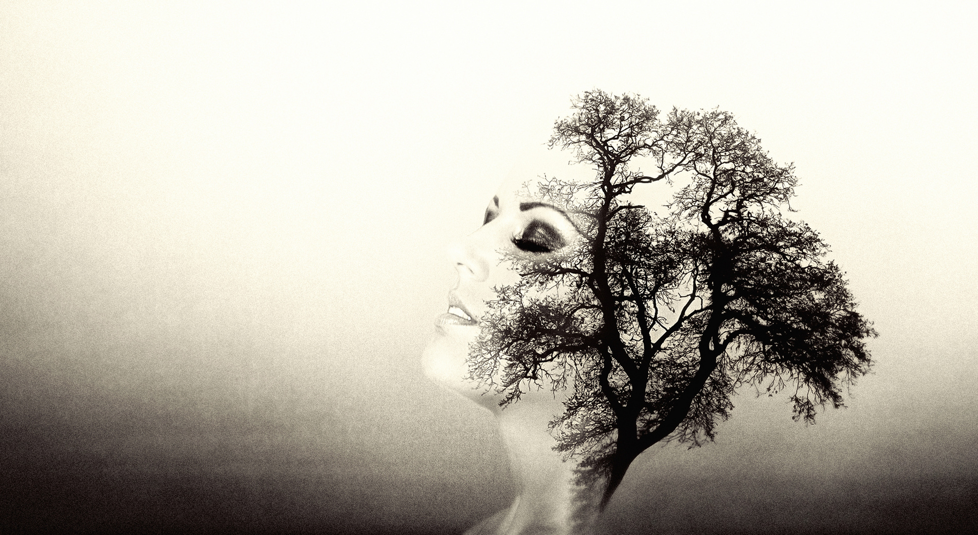 Tree Portrait Foto & Bild | fotomontage, bearbeitungs - techniken ...