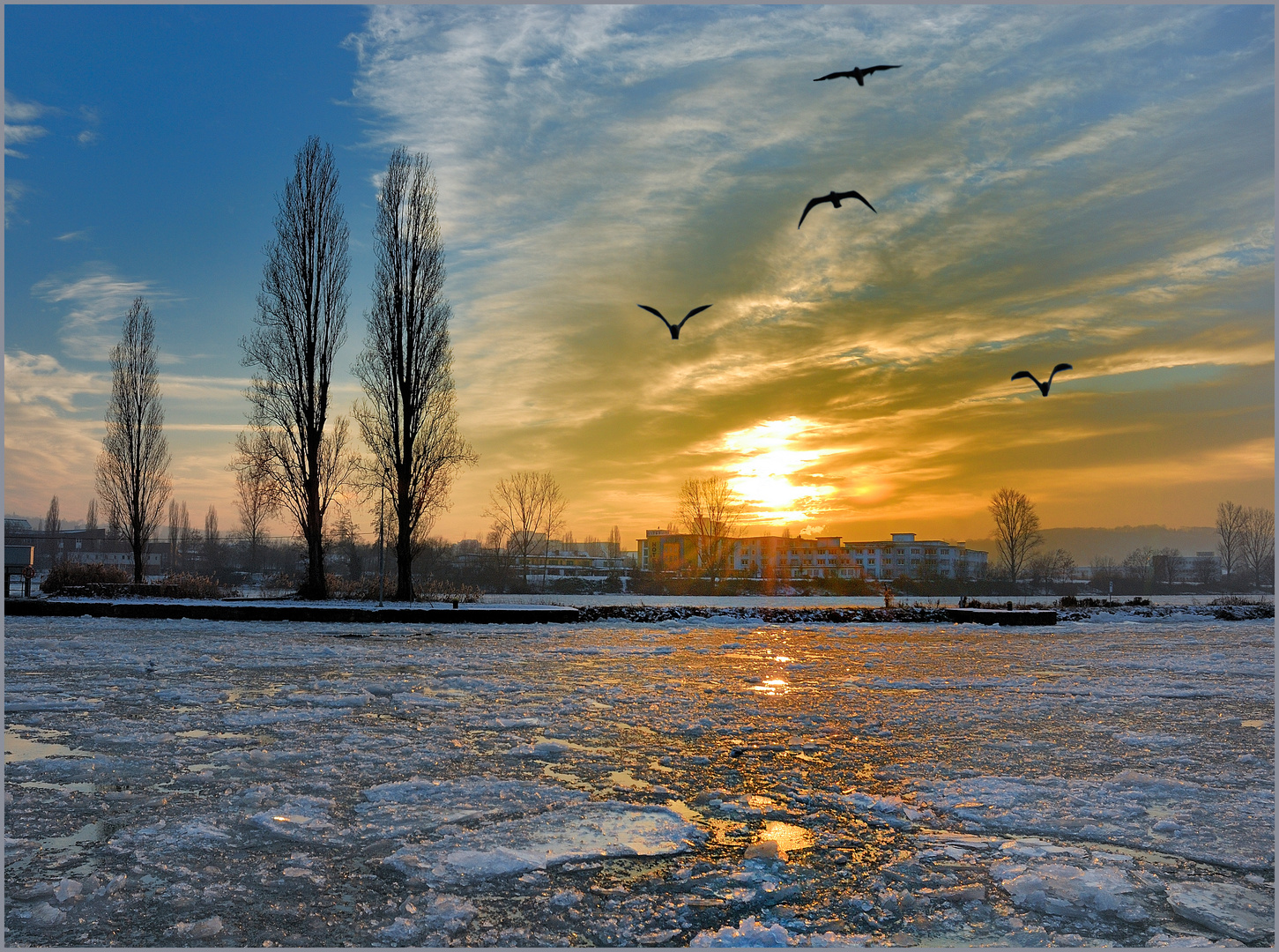 Treibeis Foto & Bild | eis, natur, eisschollen Bilder auf fotocommunity