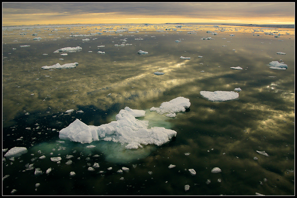 Treibeis Foto & Bild | europe, scandinavia, norway Bilder auf fotocommunity