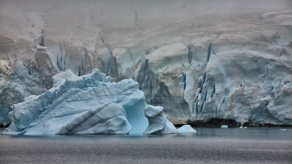 Treibeis Foto & Bild | antarctica, poles, world Bilder auf fotocommunity