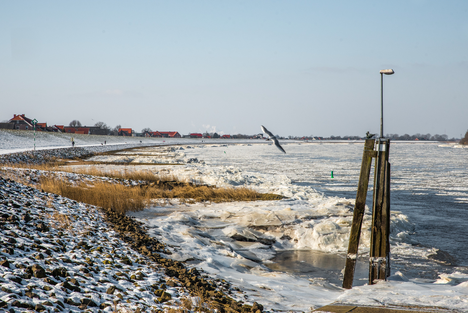 Treibeis Foto & Bild | landschaft, jahreszeiten, winter Bilder auf ...