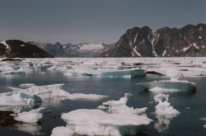 Treibeis in der Bucht vor Kulusuk Foto & Bild | north america ...