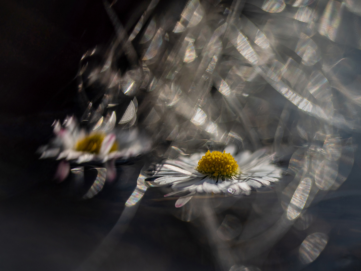 treiben lassen... Foto & Bild | spezial, outdoor, bäume Bilder auf ...