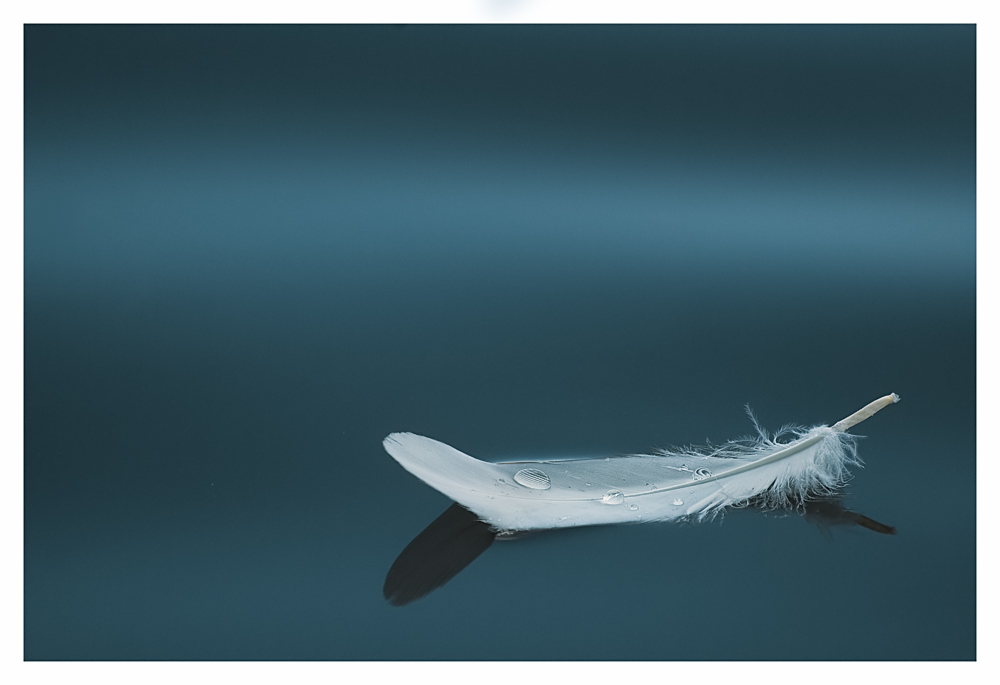 treiben lassen Foto & Bild | natur-kreativ, natur Bilder auf fotocommunity