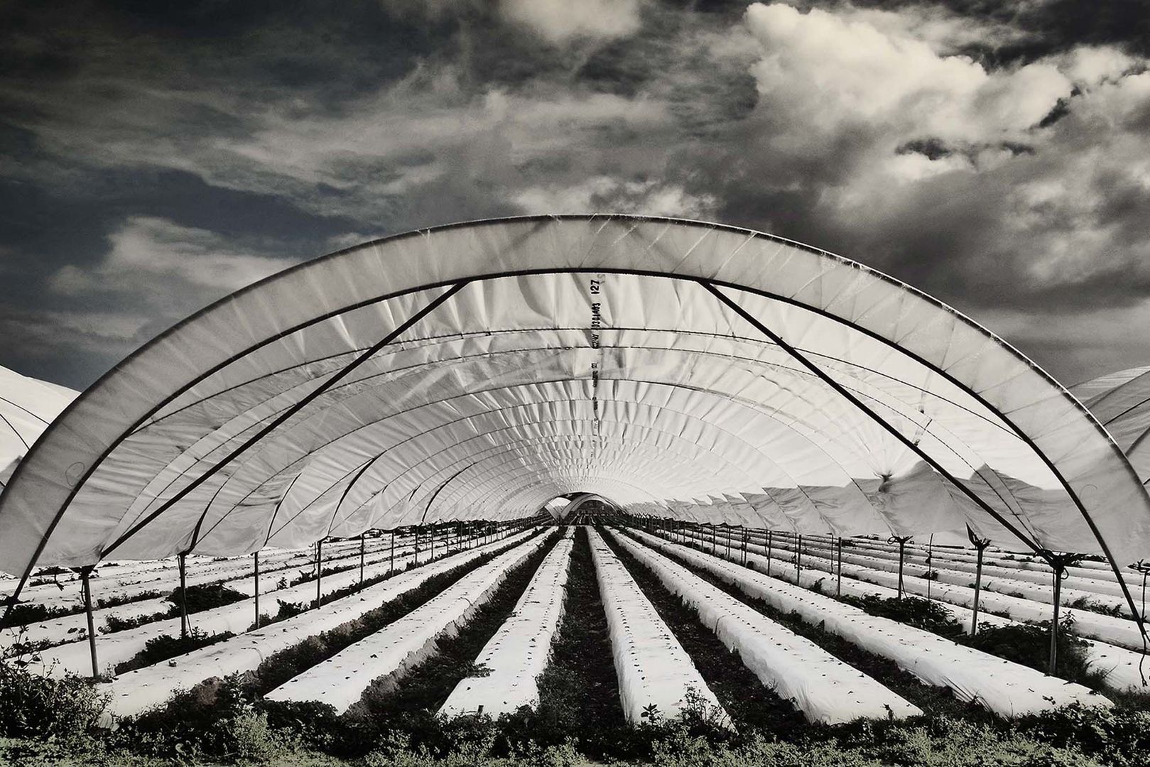 Treibhaus Foto & Bild | europe, portugal, industrie und technik Bilder ...