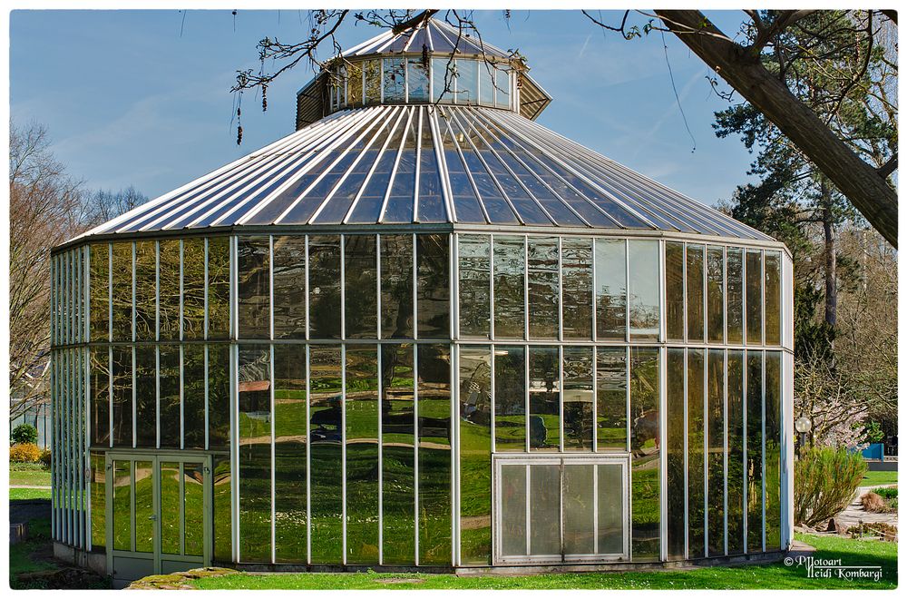 TREIBHAUS Foto & Bild | frühling, frankfurt, gespiegelt Bilder auf ...