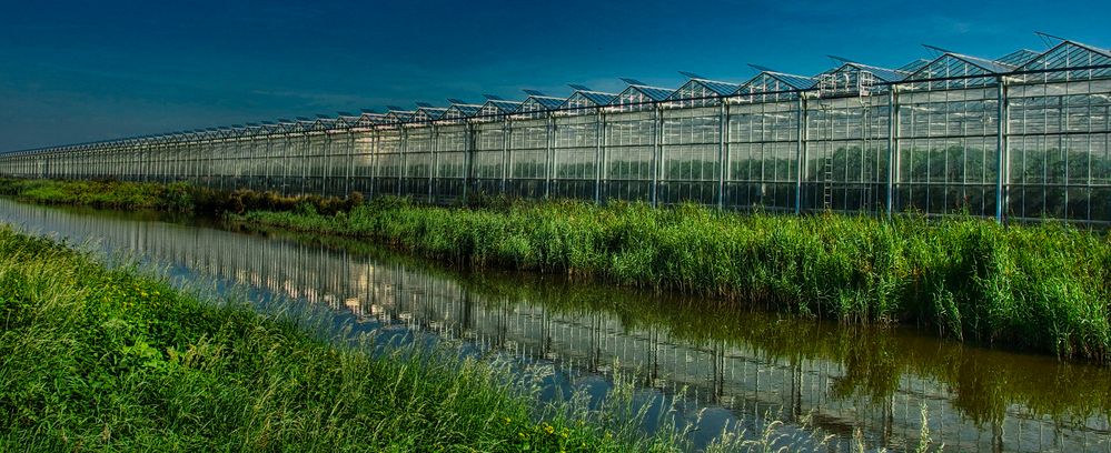 Treibhaus-Effekt Foto & Bild | urlaub, sommer, natur Bilder auf ...