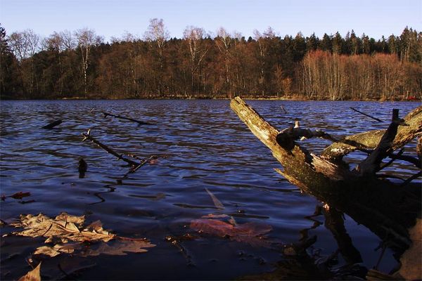 David Uhlmann - Fotos & Bilder - Fotograf aus Bern, Schweiz | fotocommunity