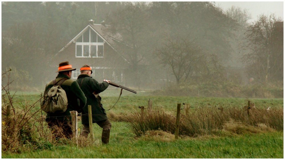 „Treibjagd“ Foto & Bild | reportage dokumentation, events, motive ...