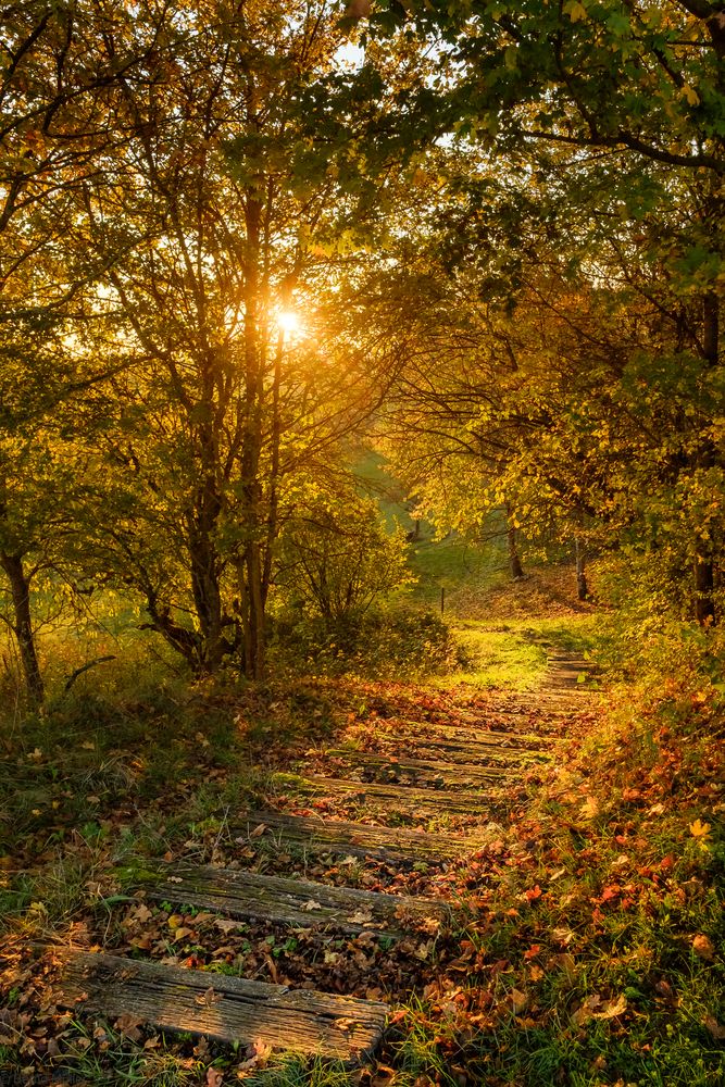Treppe im Herbst Foto & Bild | landschaft, jahreszeiten, sonnenuntergang Bilder auf fotocommunity