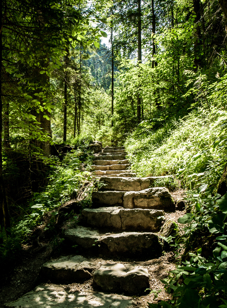 Treppe im Wald Foto & Bild | landschaft, wege und pfade, natur Bilder ...