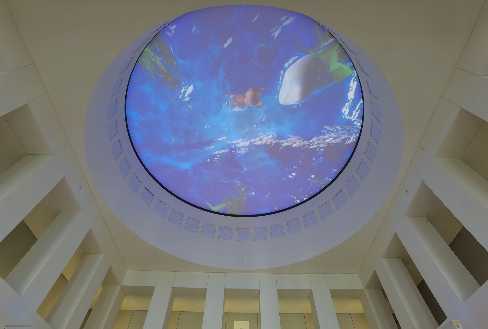 Treppenhaus im Eingangsbereich Foto & Bild | projekte, 4 - donnerstag mit durchblick, thementage ...