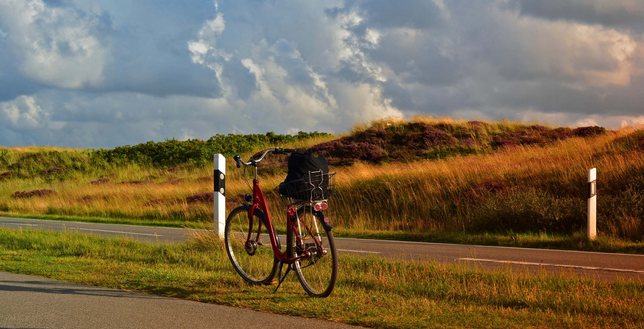 ~ treuer Begleiter ~ Foto & Bild | deutschland, europe, schleswig ...
