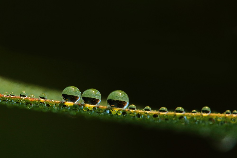 Trilogie der Tropfen Foto & Bild | wasser, makro, natur Bilder auf ...