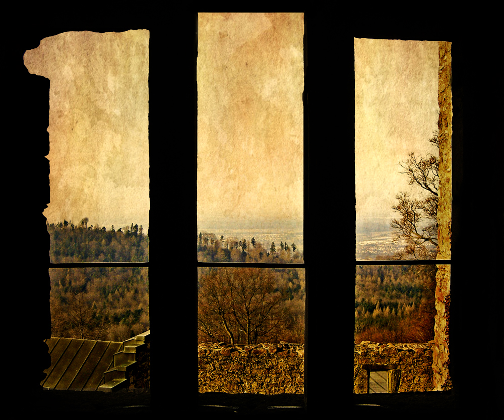 Triptychon Foto & Bild | natur-kreativ, aufnahmetechniken, natur fine art Bilder auf fotocommunity