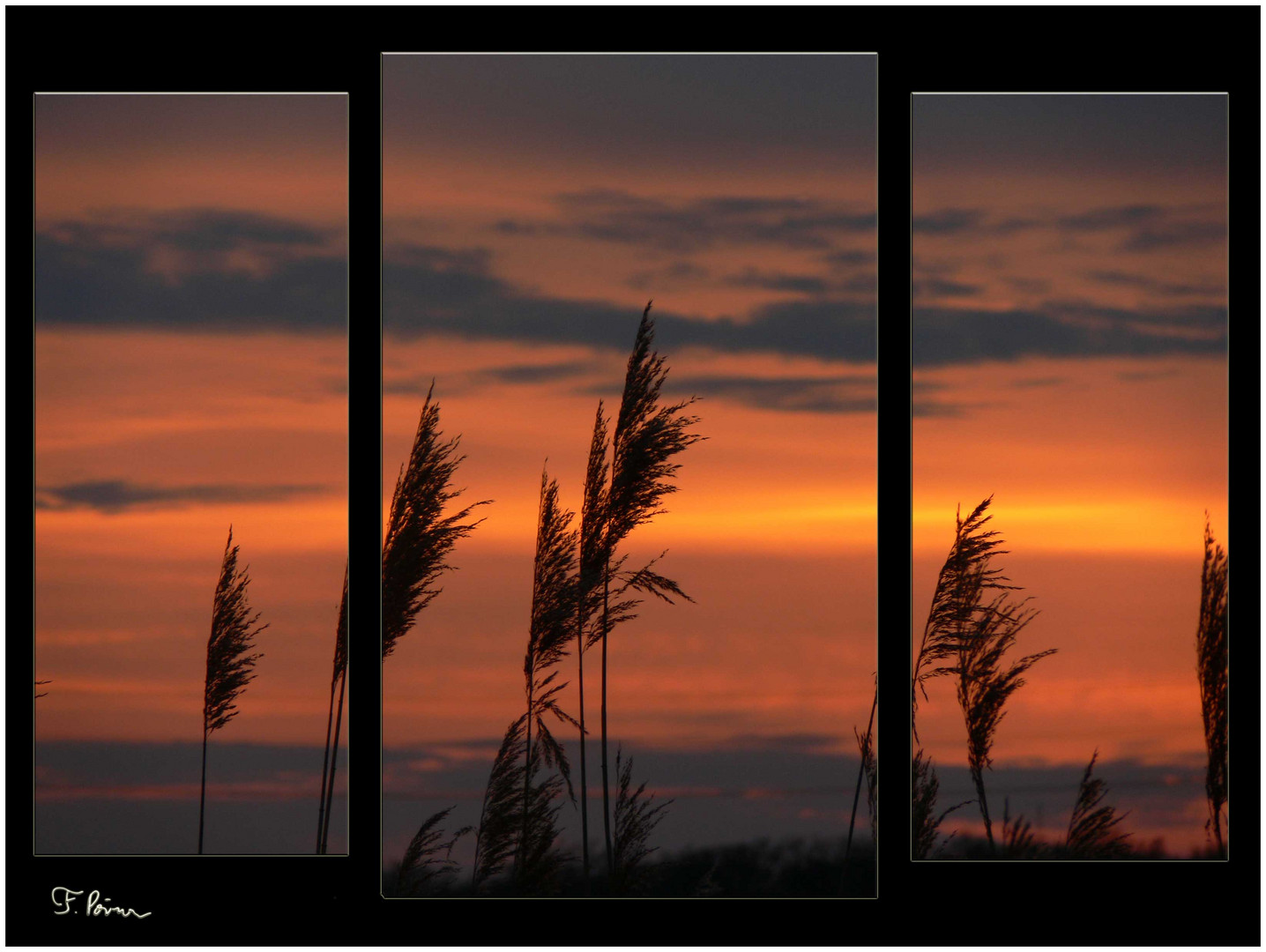 Triptychon Foto & Bild | Bilder auf fotocommunity