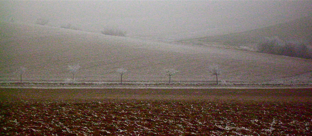 trist Foto & Bild | jahreszeiten, winter, natur Bilder auf fotocommunity