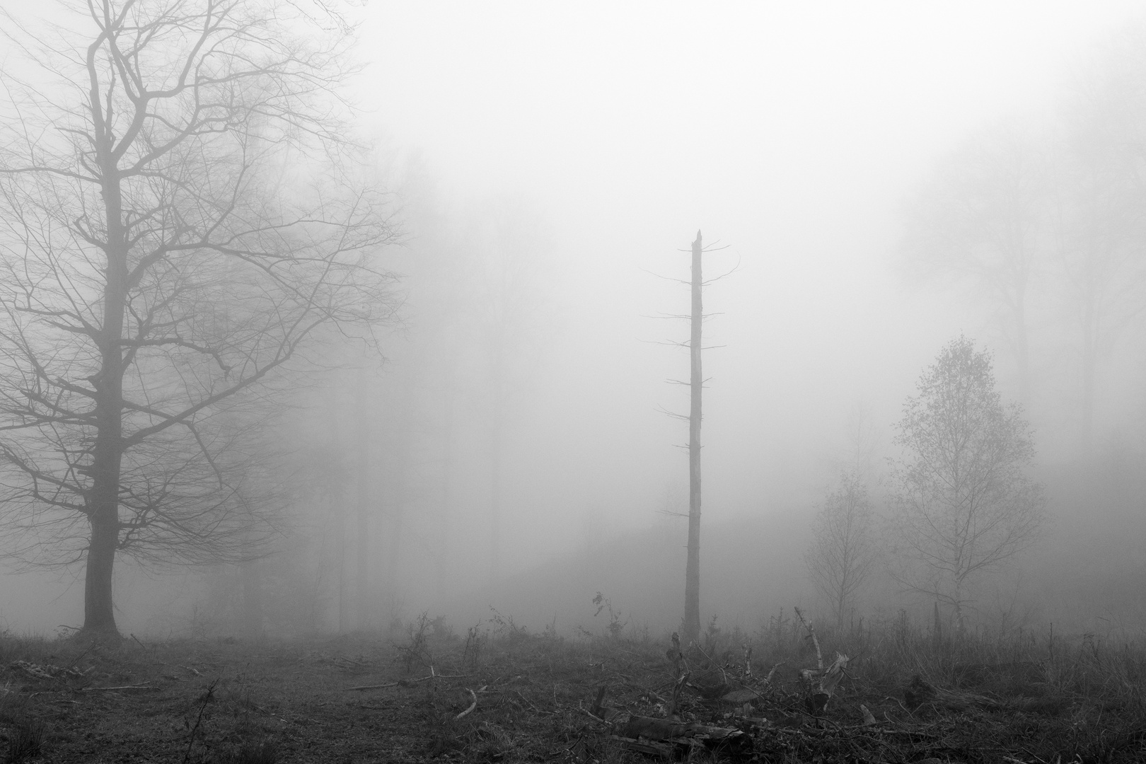 Trist Foto & Bild | deutschland, europe, sachsen- anhalt Bilder auf ...