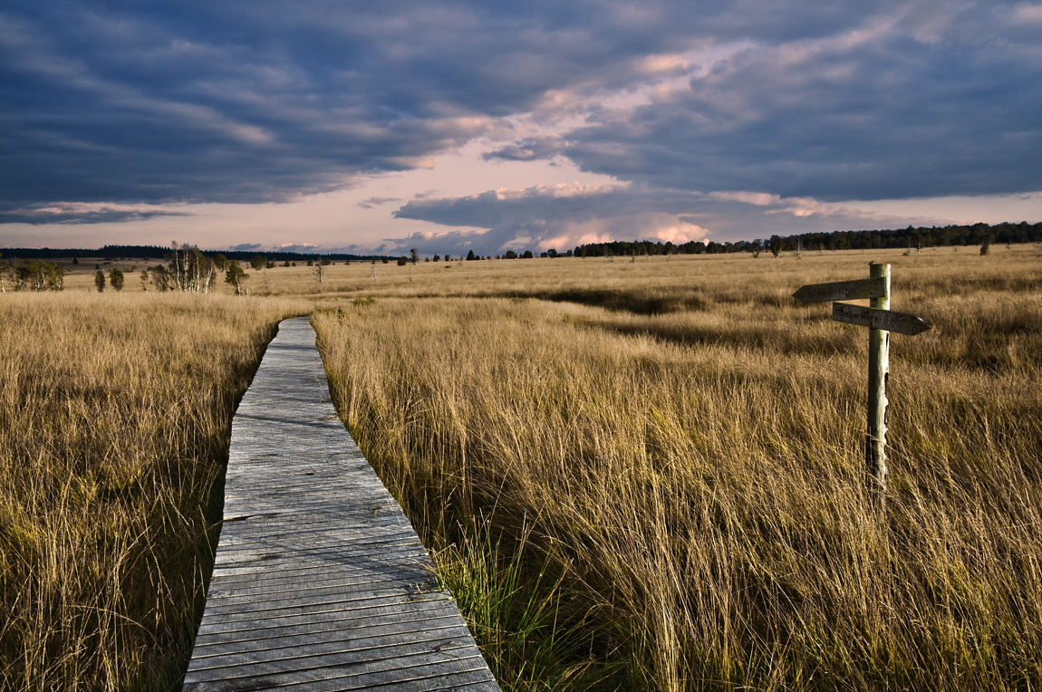 trist Foto & Bild | gras, natur, landschaft Bilder auf fotocommunity