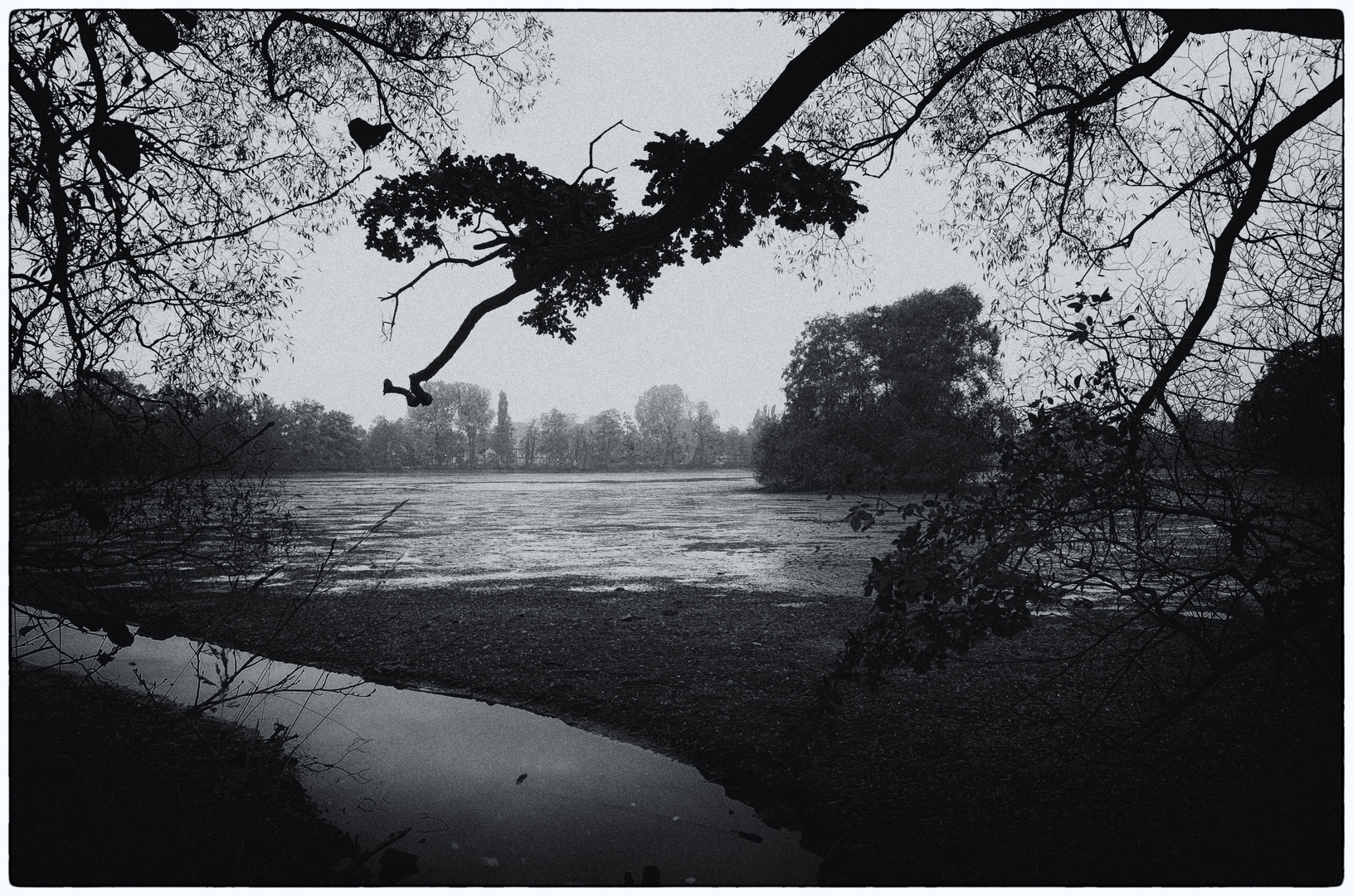 Trist und Grau... Foto & Bild | buchhorst in bs, natur, herbst Bilder ...