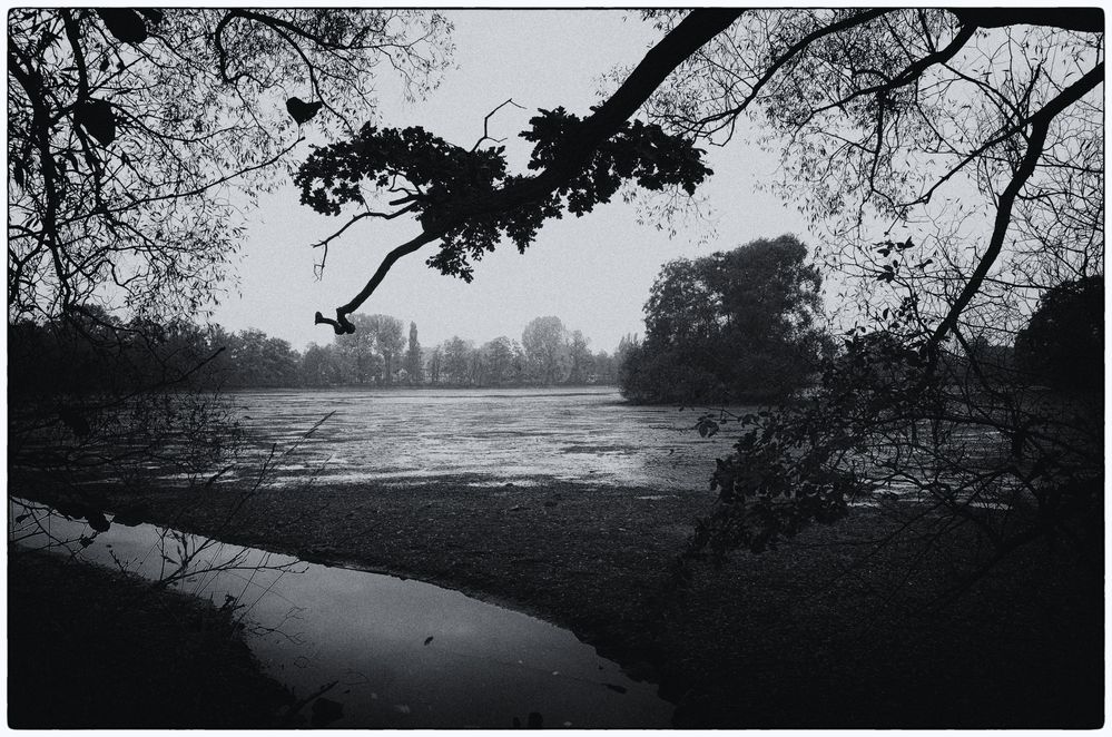 Trist und Grau... Foto & Bild | buchhorst in bs, natur, herbst Bilder ...