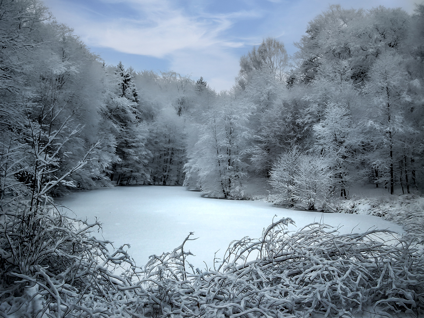 Trittau - Winter Foto & Bild | landschaft, wald, winter Bilder auf fotocommunity