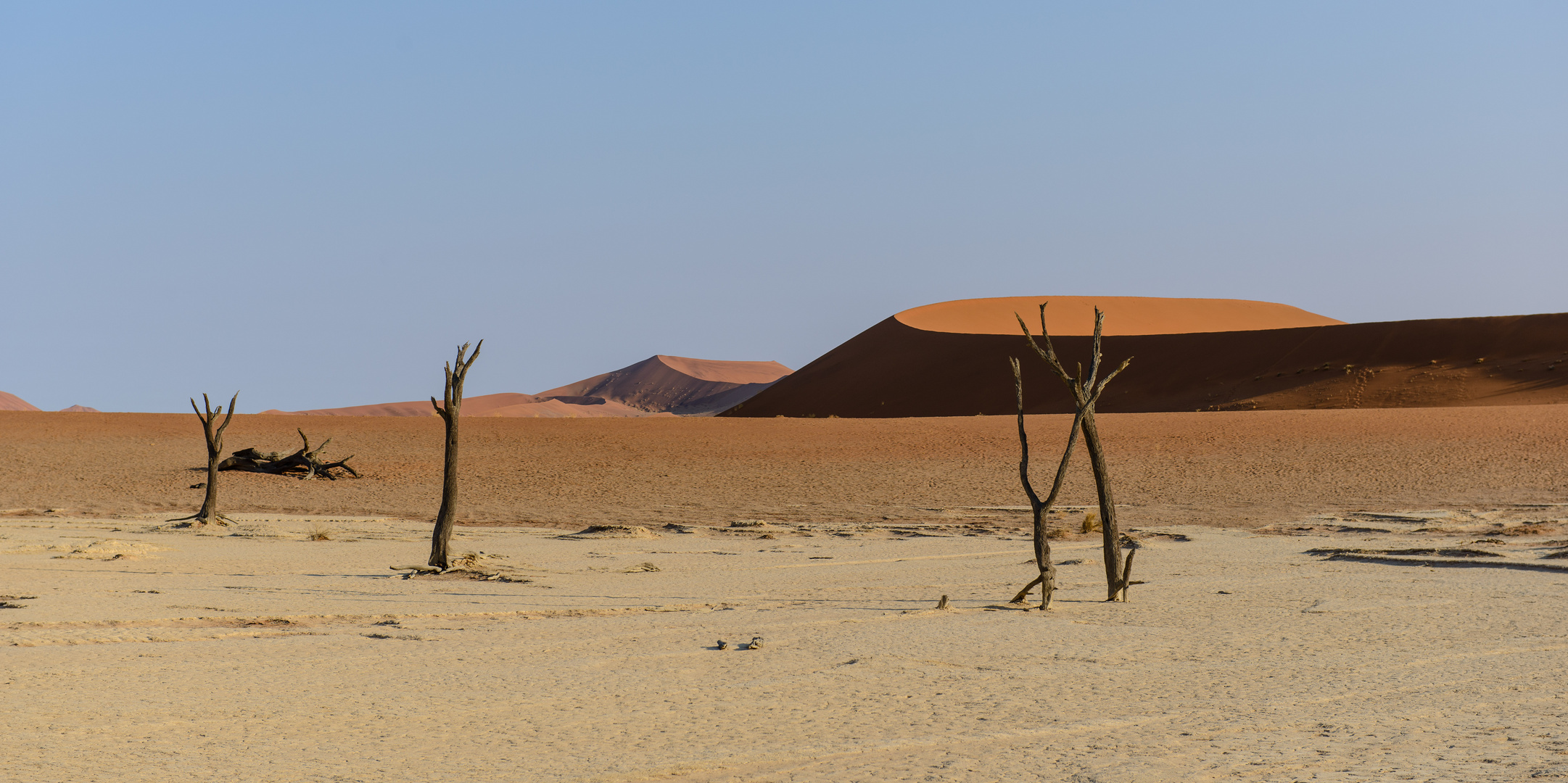 Trocken Foto & Bild | landschaft, wüste, natur Bilder auf fotocommunity