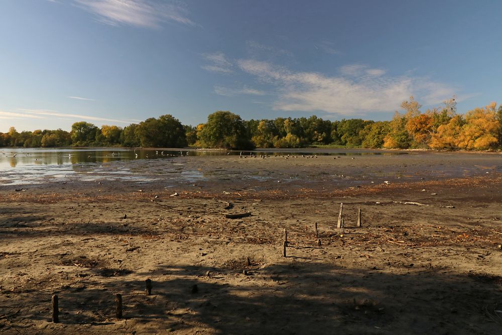 Trocken gelegt Foto & Bild | oktober, landschaften, bäume Bilder auf ...