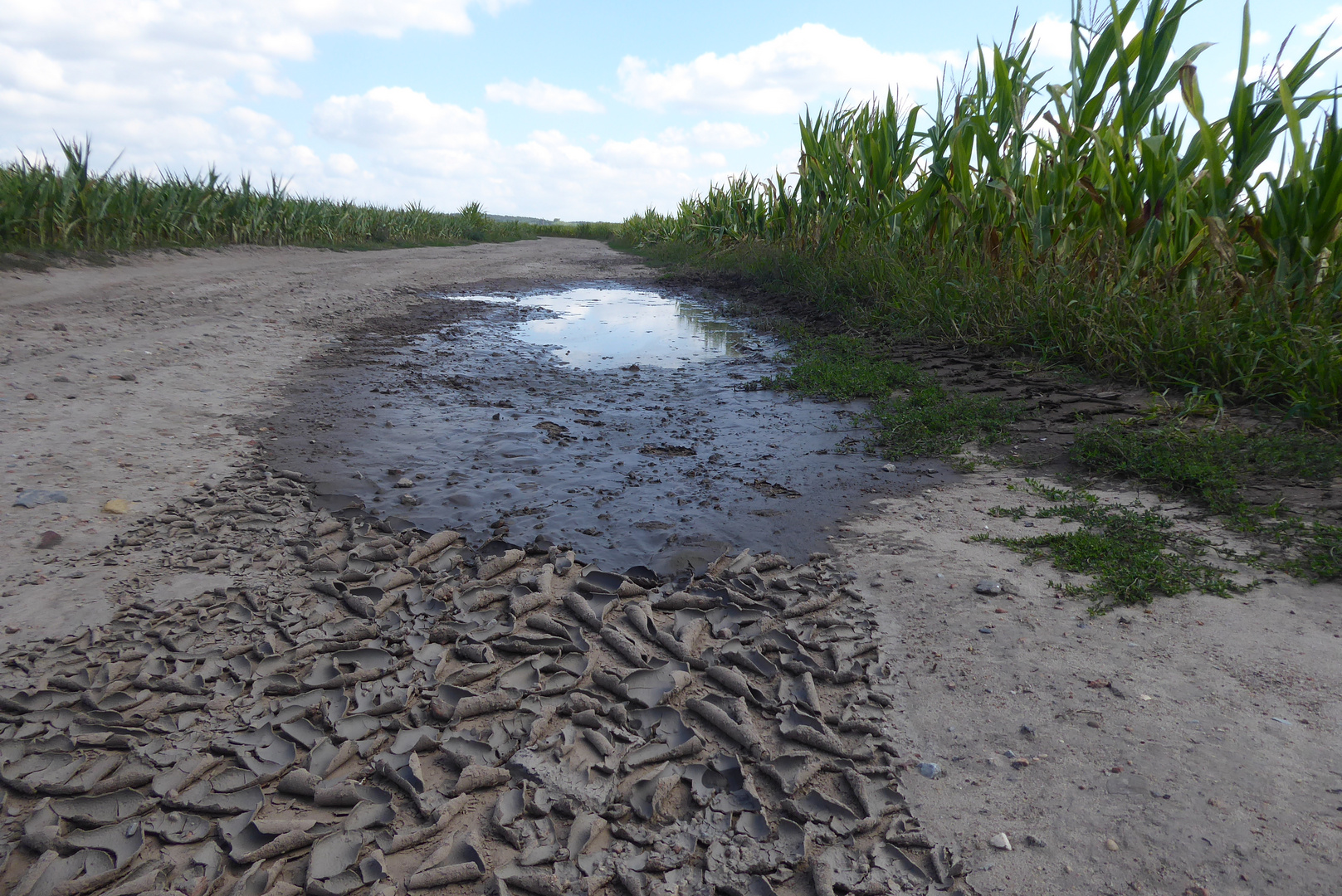 Trocken, Matsch und Pfütze Foto & Bild | landschaft, Äcker, felder ...
