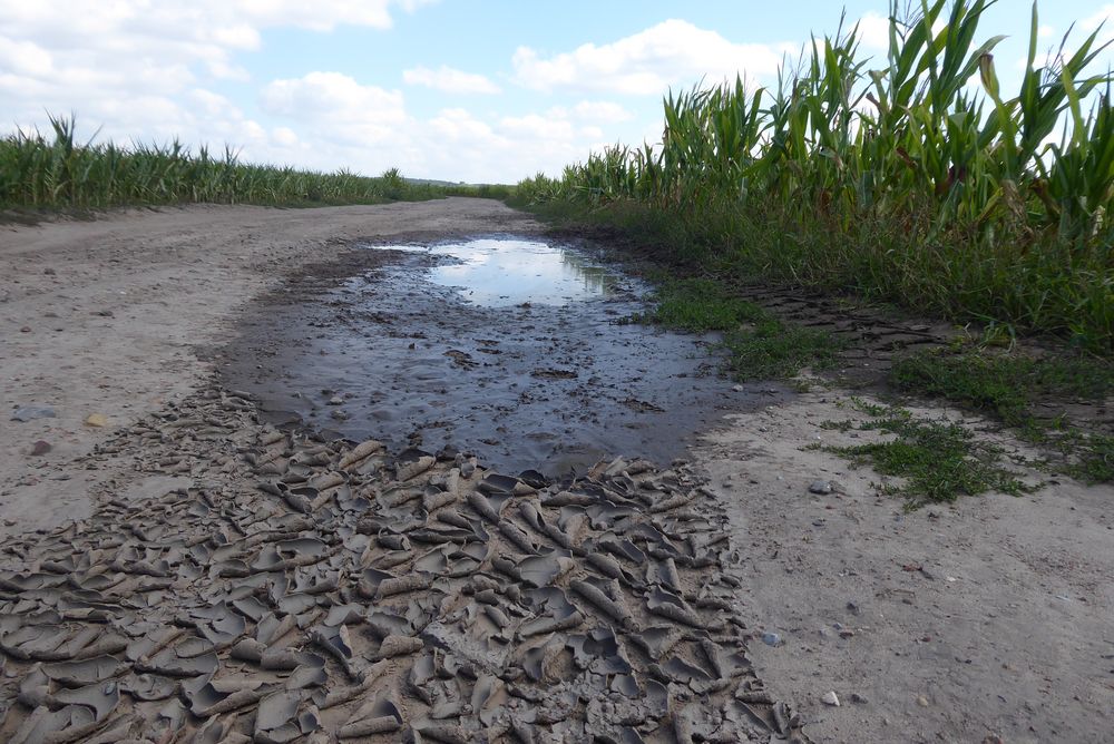 Trocken, Matsch und Pfütze Foto & Bild | landschaft, Äcker, felder & wiesen, wege und pfade ...