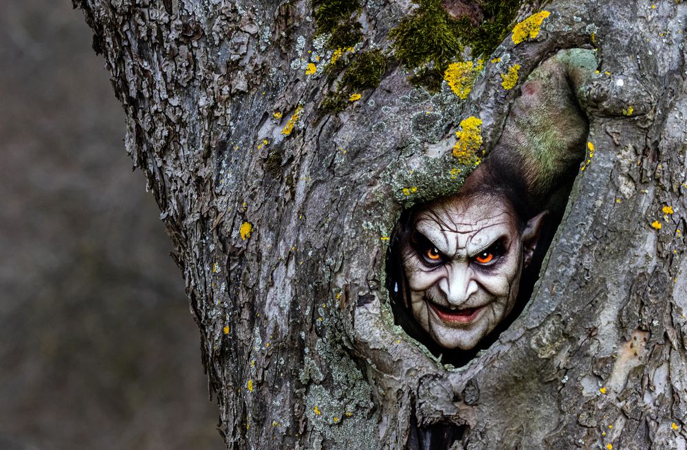 Trolle Foto & Bild | ki - montagen, fotospielereien, portrait Bilder auf fotocommunity