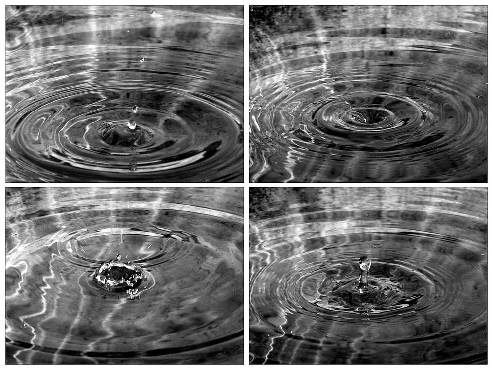 Tropf, Tropf, ... Foto & Bild | archiv projekte naturchannel ...