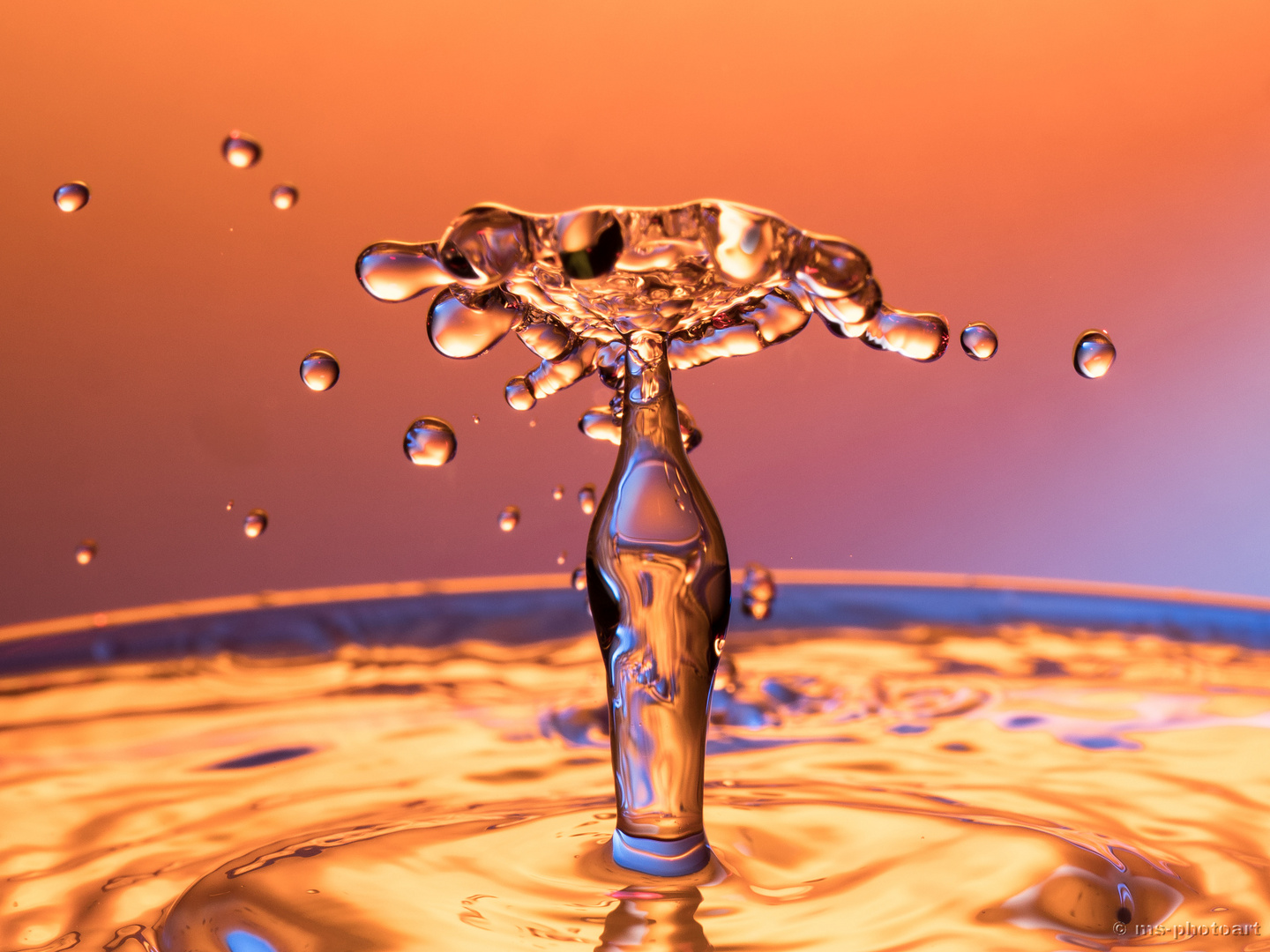 Tropfen -07 Foto & Bild | experimente, wasser, tropfen Bilder auf ...