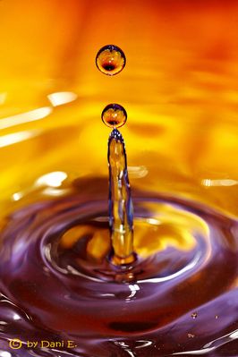 Daniela Popp - Fotos & Bilder - Fotografin aus Bayern, Deutschland ...