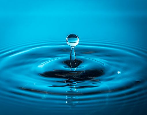 Konstruktives Feedback erwünscht | fotocommunity