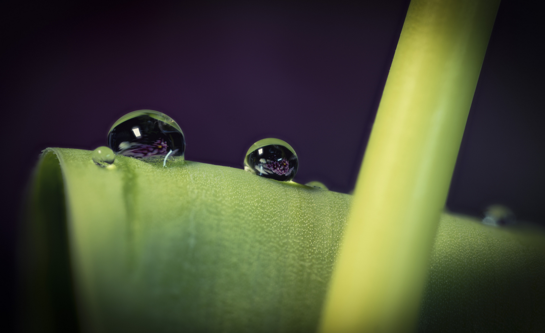 Tropfen Foto & Bild | experimente, natur-makros, natur-kreativ Bilder ...