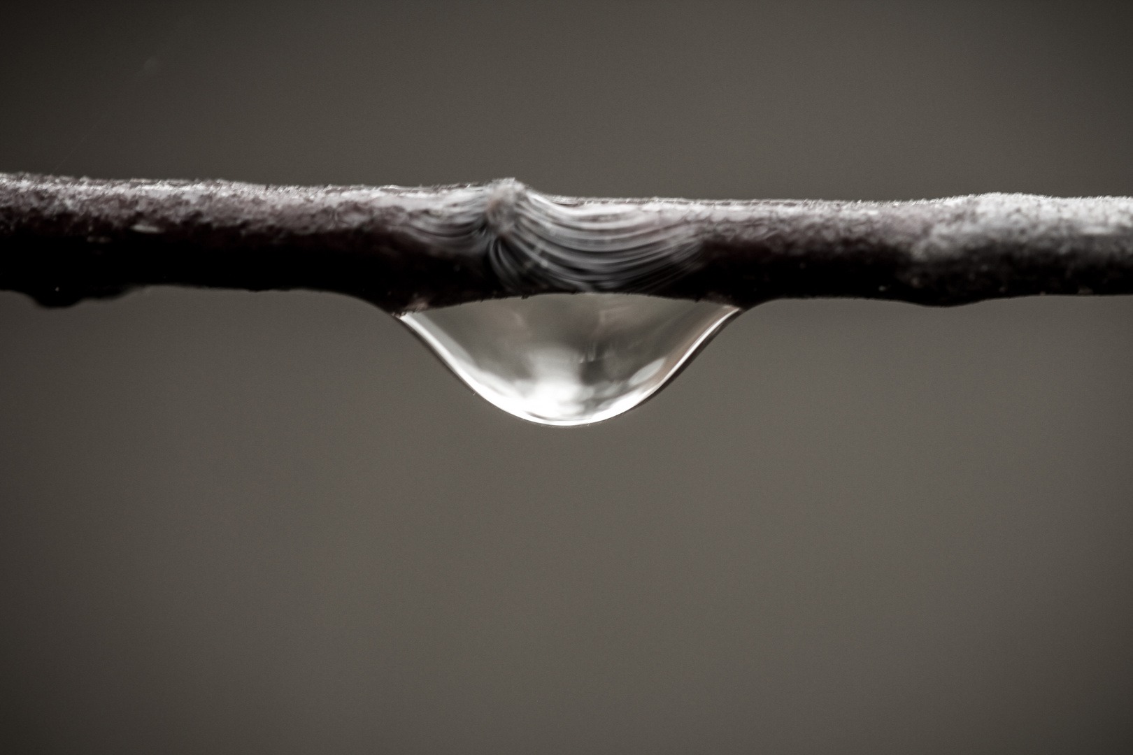 Tropfen Foto & Bild | regenfotos, wetter, natur Bilder auf fotocommunity