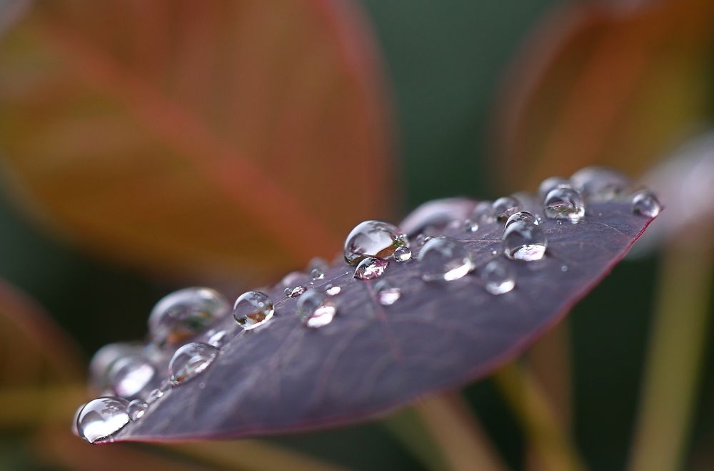 Tropfen..... Foto & Bild | experimente, wasser, tropfen Bilder auf ...