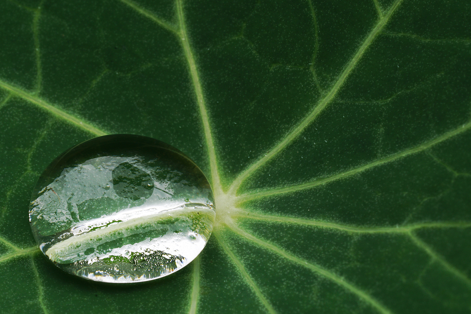 Tropfen Foto & Bild | wasser, makro, macro Bilder auf fotocommunity