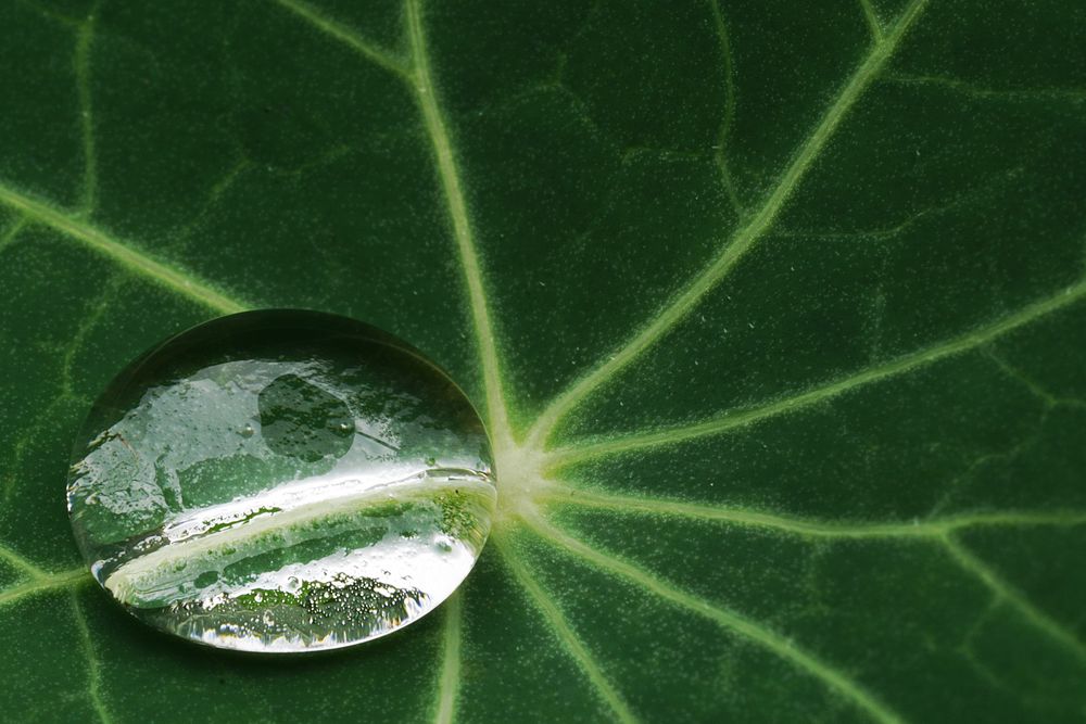 Tropfen Foto & Bild | wasser, makro, macro Bilder auf fotocommunity