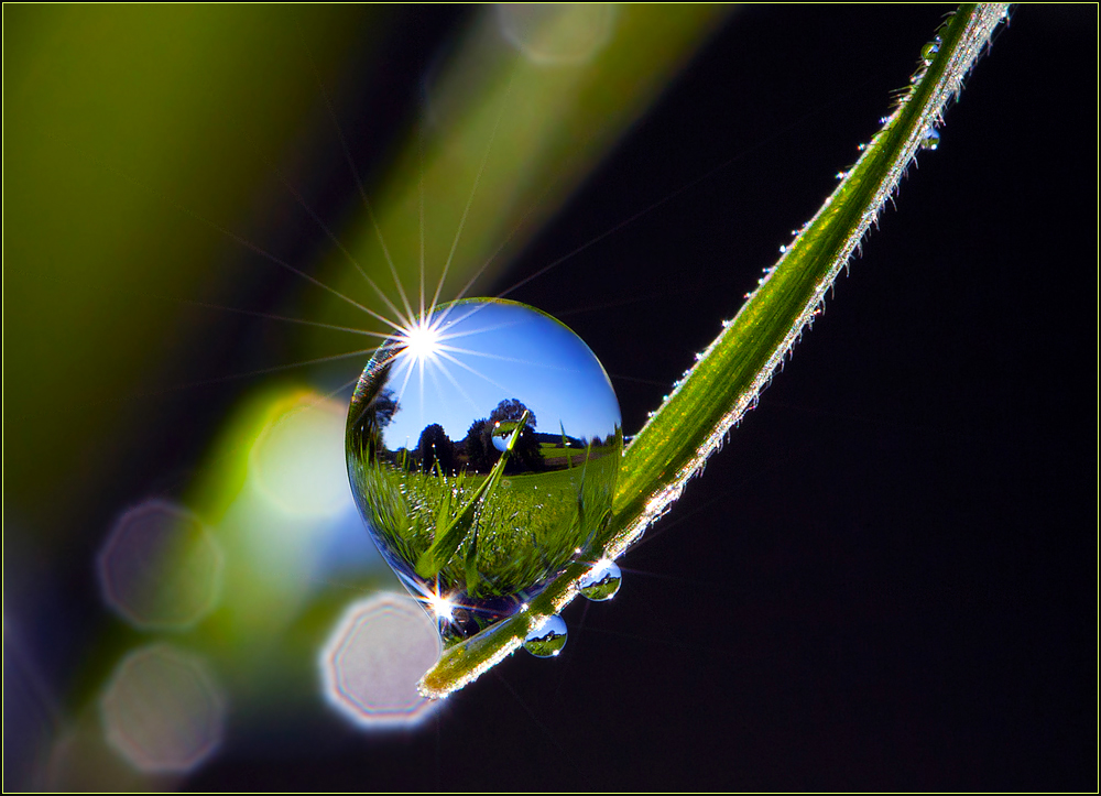 Tropfen im Tropfen Foto & Bild | sonstiges, wasser im detail, tropfen ...