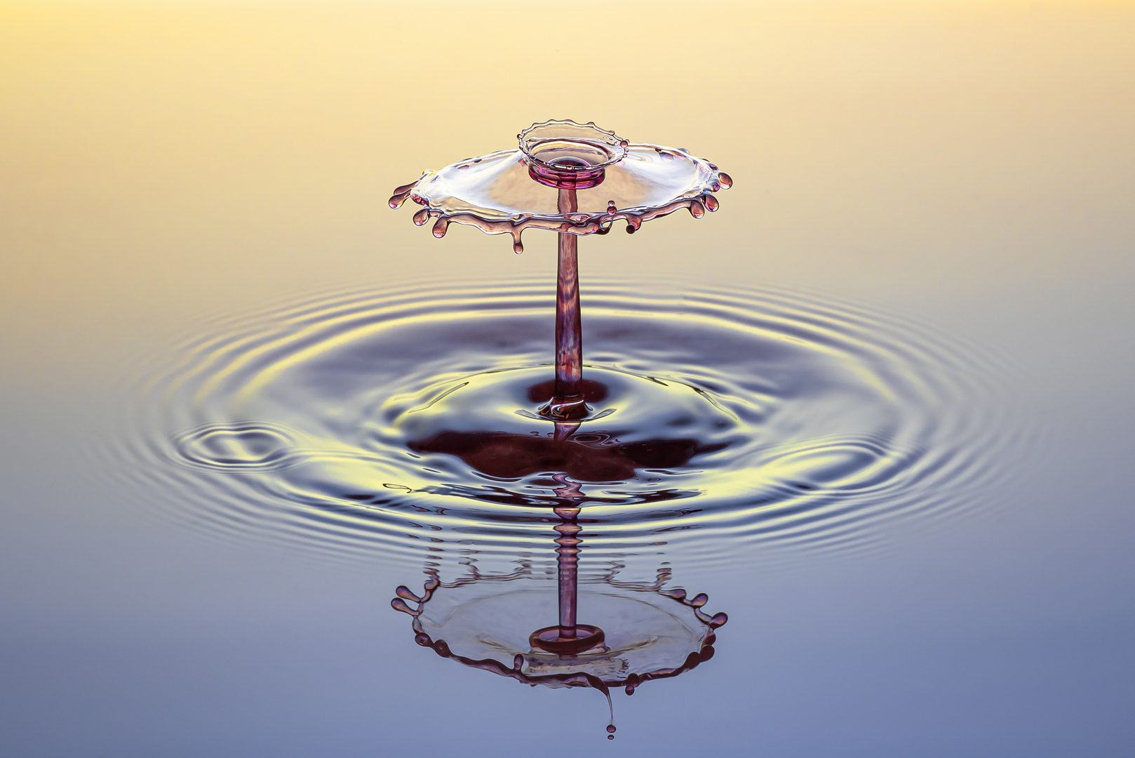 Tropfenbild Nr. 29 Foto & Bild | experimente, wasser, tropfen Bilder ...