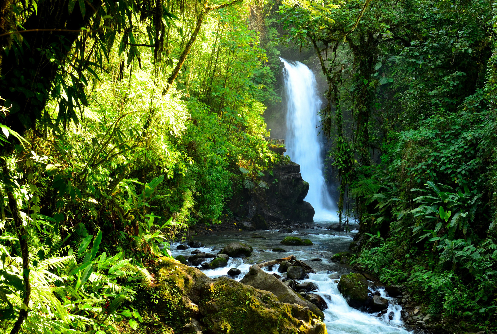 Tropischer Wasserfall Foto & Bild | urlaub, fotos, world Bilder auf ...