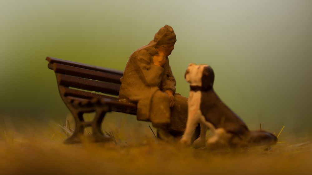 Trost Foto & Bild | stillleben, emotionen, trost Bilder auf fotocommunity