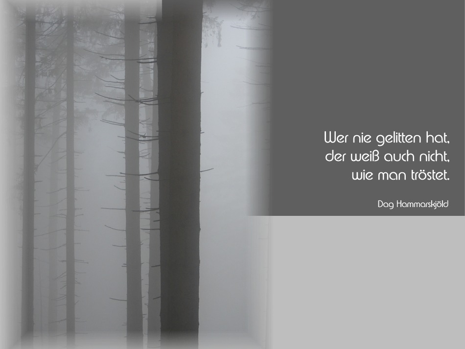 Trost Foto & Bild | karten und kalender, trauer, spezial Bilder auf ...